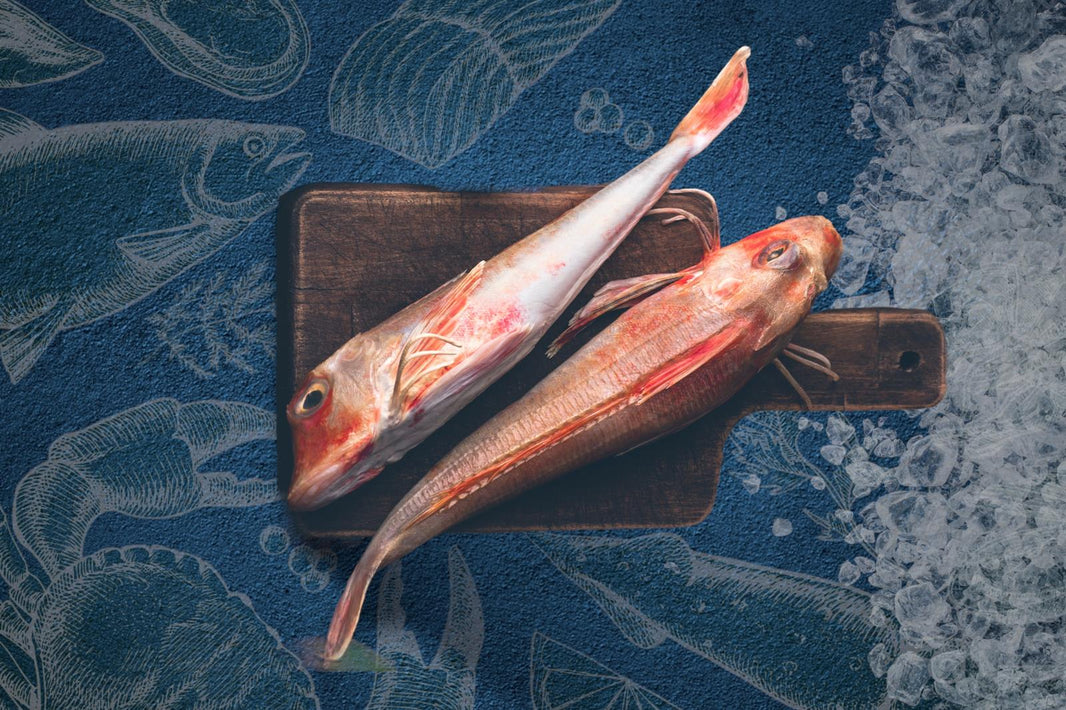 FRESH – Fins & Scales Fishmongers